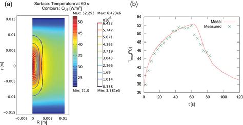 Temperature Distribution In Model Tissue With Cylindrical Symmetry Download Scientific Diagram