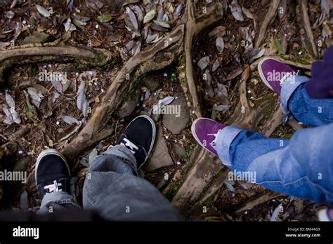 People Walking Over Tree Roots Stock Photo Alamy