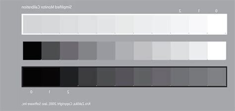 Stephanie Syjuco Inverted Calibration Flag 3 Simplified Monitor