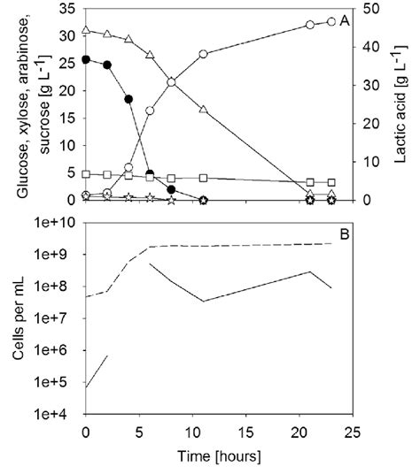 Fermentation At Pilot Scale A B Coagulans Lactic Acid Open Circle Download Scientific