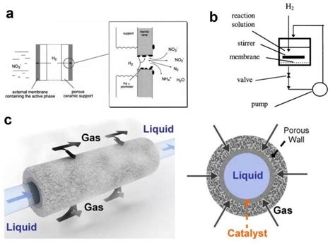 A Schematic Illustration Of A Catalytic Membrane Reactor For Nitrate Download Scientific
