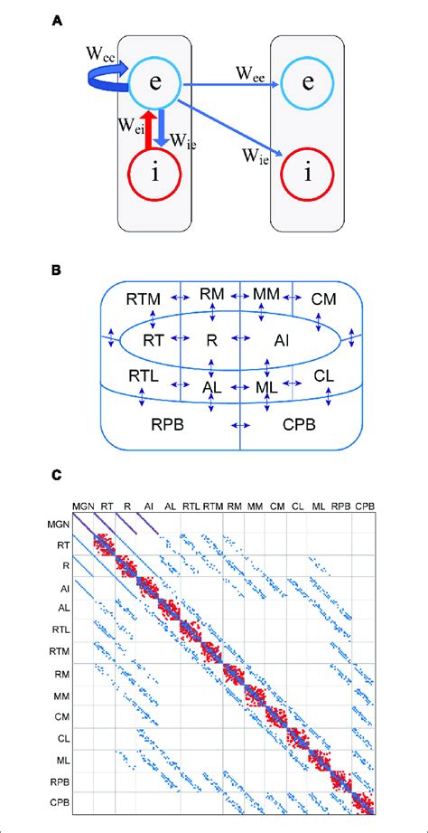 A Computational Model Of Auditory Cortex As A Modern Version Of The Download Scientific
