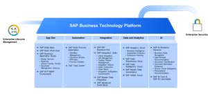 What Is SAP Business Technology Platform Axxis Consulting