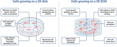 Contrasting Cellular Environments An Analytical Comparison Of 2d