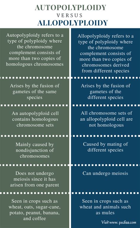 Difference Between Autopolyploidy And Allopolyploidy Definition Characteristics Function