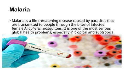 Malariapptx Its Pathogenesis And Etiology Ppt
