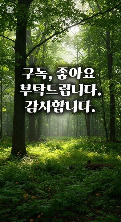 오늘의 명언 오늘의명언 긍정적마인드 긍정의말 긍정의한줄 명언 동기부여명언 좋은글 좋은말 Youtube