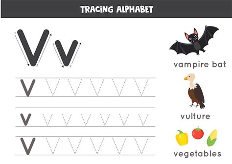 영어 알파벳의 모든 문자를 추적합니다 아이들을위한 유치원 활동 대문자 및 소문자 M 회색 마우스의 귀여운 그림을 작성합니다 인쇄 가능한 워크 시트 프리미엄 벡터
