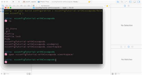Guide To Organizing Your Ios Debug Development And Release States