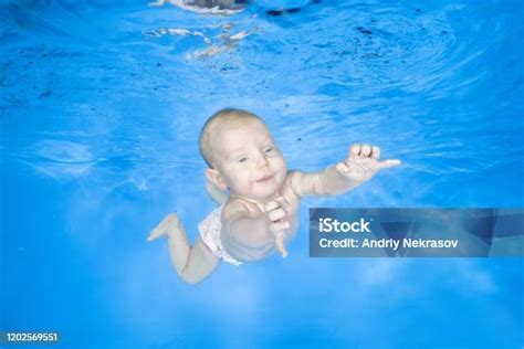 어린 소녀는 수중 수영을 배운다 푸른 물 배경에 수영장에서 수중 수영 소녀 건강한 가족 라이프 스타일과 어린이 수상 스포츠 활동 1개월에 대한 스톡 사진 및 기타 이미지