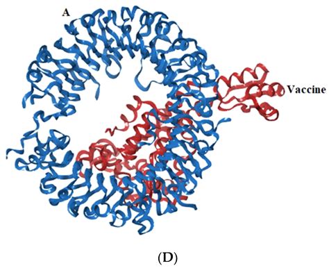 Design And In Silico Validation Of A Novel Mzf 1 Based Multi Epitope Vaccine To Combat