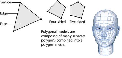 Introduction To Polygons