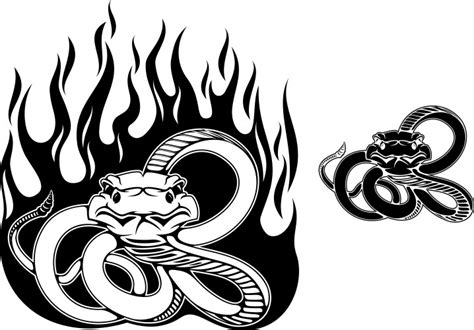 Rattlesnake Vector Images Over
