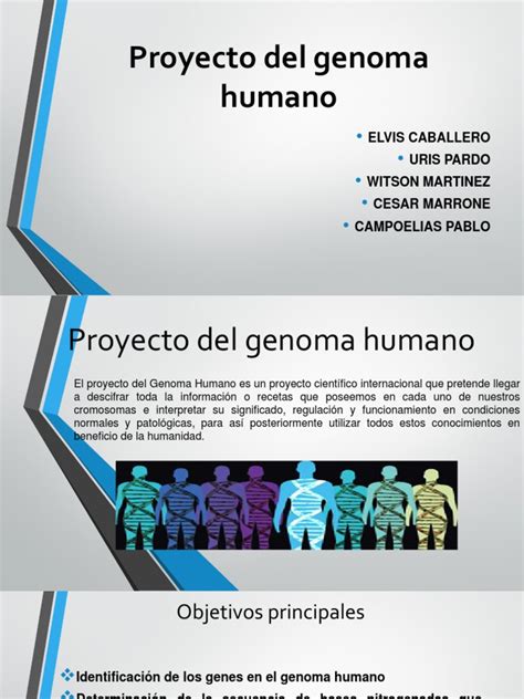 Perfiles De Los Participantes Principales Del Proyecto Del Genoma