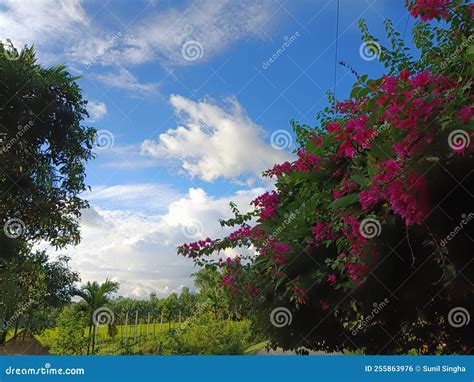 Beautiful Natural Scenery Of The Sky In Udalguri District Of Assam