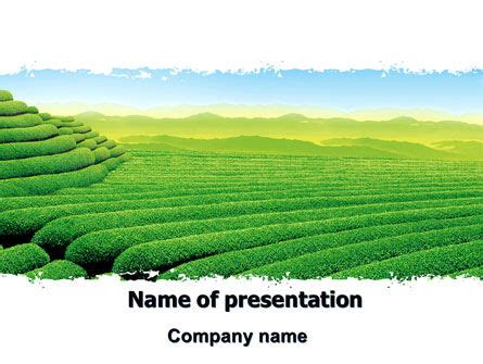 Plantation PowerPoint Templates And Google Slides Themes Backgrounds For Presentations