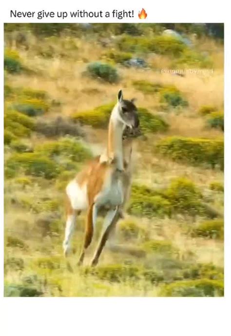 Aakash Bhole On Linkedin Life Is Full Of Challenges And Obstacles But Giving Up Is Never The