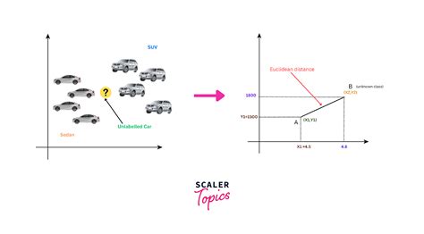 Classification In R Programming Scaler Topics