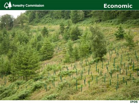 Forestry Commission Arcgis As A Platform Part 1 Pptx Computer