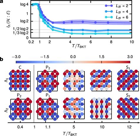A A Generic Valid Dimer Covering On The Square Lattice B The Four Download Scientific Diagram