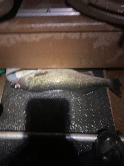 Dans Salmon River Dans Salmon River Guide Service