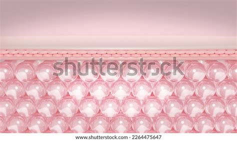3d rendering layers skins microstructure concept stock illustration