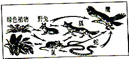 生态系统是在一定的 内 生物及无机环境通过 而相互作用的一个自然系统 这个系统是一个 的结构 这个结构中的成分在不断的变化中 维持着结构的稳定性 也就是生态系统具有一定的 能力 但青夏教育