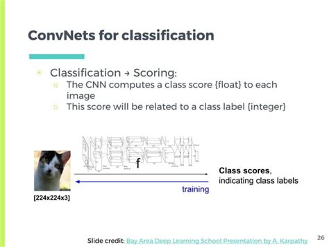 skin lesion detection from dermoscopic images using convolutional