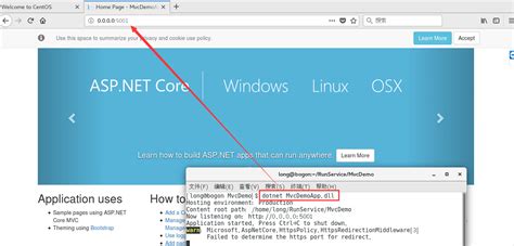 centos7部署dotnet core2 1 程序员大本营