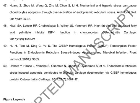 Alterations In Body Parameters Of Samp8 Subjected To Hfd Feeding A Download Scientific