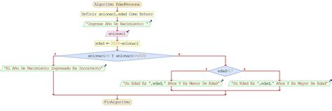 Diagrama De Flujo Para Calcular La Edad De Una Persona Mxedusa