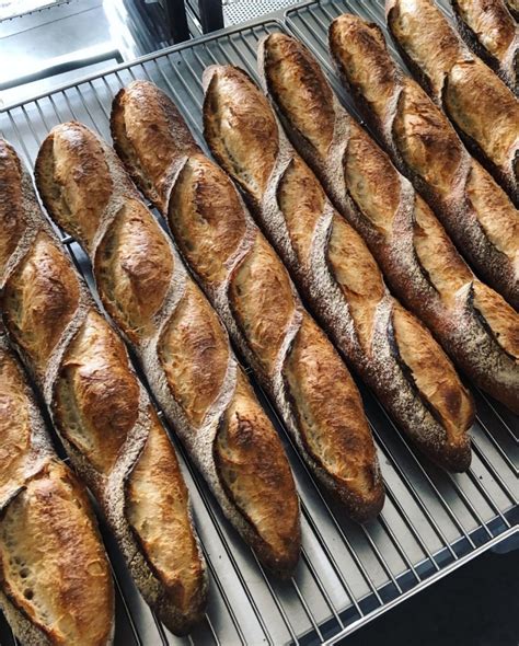 마감 9월 원데이 모집 베이글 바게트 깜빠뉴 치아바타 포카치아 팔라도우 피자 ★ 오후의빵집 네이버 블로그