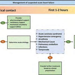 Algorithm For The Pharmacological Management Of HFrEF Download Scientific Diagram