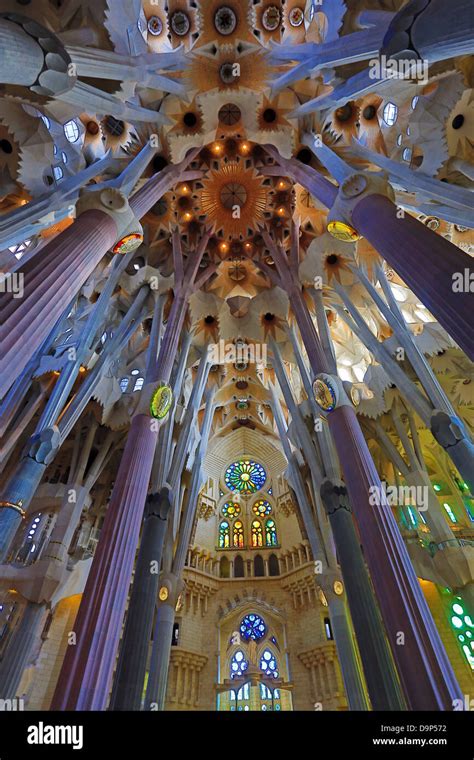 La Sagrada Familia Cathedral Interior Barcelona 2025 Pictures La