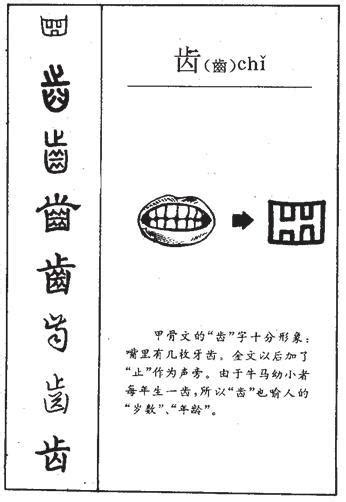 漢字的起源與演變500例 每日頭條