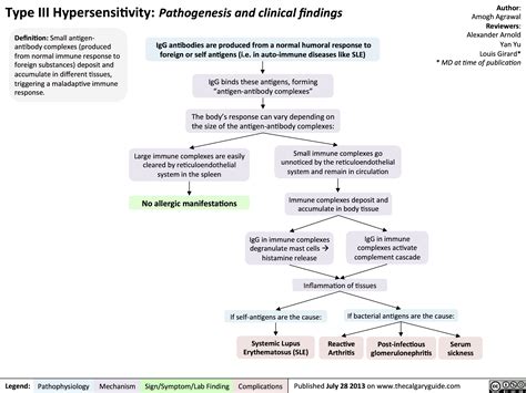 Type Iii Hypersensitivity Pathogenesis And Clinical Findings Calgary Guidecalgary Guide