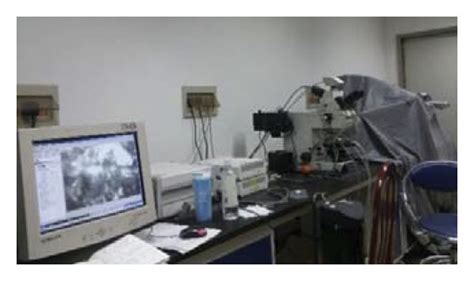 Thermo Stage Polarizing Microscope Download Scientific Diagram