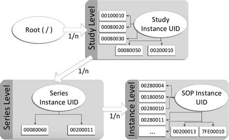 Dicom Object Mapped To Hdf5 Download Scientific Diagram