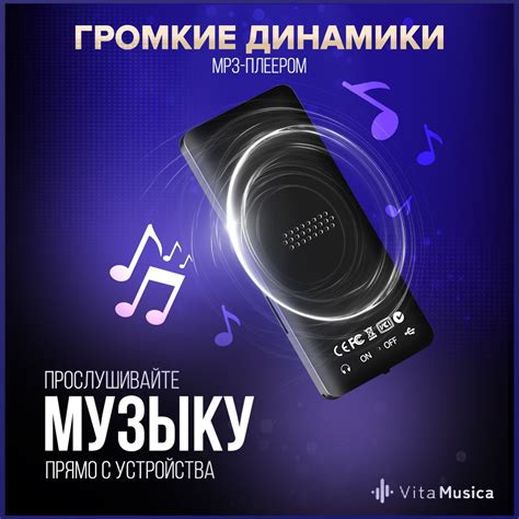 MP3-плеер плеер 64 ГБ, черный купить на OZON по низкой цене (1945638488)