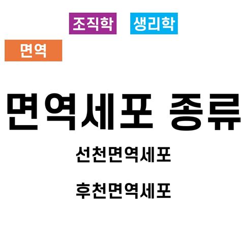 상피조직 01 상피 조직 Epithelial Tissue 의학당