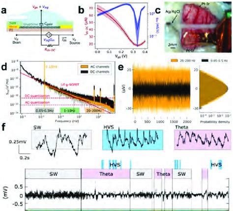 Graphene Sensing Array For Monitoring Extracortical Brain Activity A Download Scientific