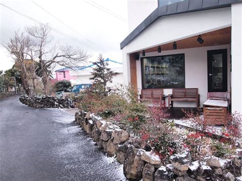 인문공간 제주살롱 🔔 오픈합니다 사진은 어제 풍경 눈오는 제주살롱과 송당의 풍경입니다 어제