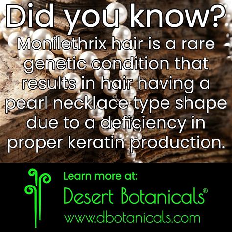 Did You Know Monilethrix Hair Is A Desert Botanicals
