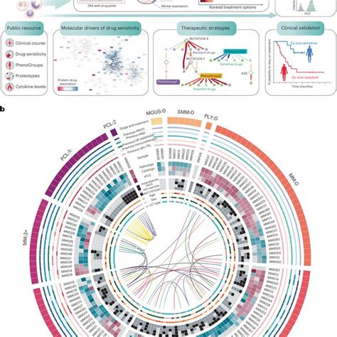 Workflow And Cohort Details For The Integrative Functional Molecular Download Scientific