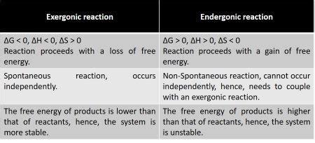 Exergonic And Endergonic Reactions