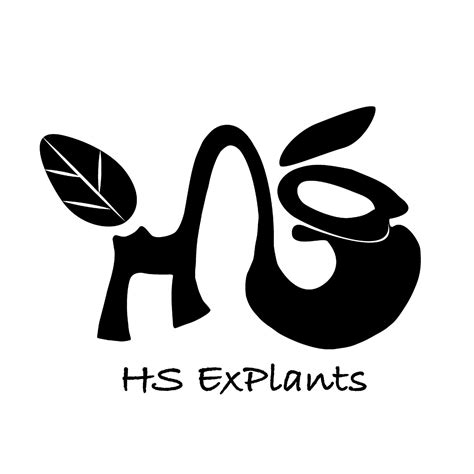 Hs Explants
