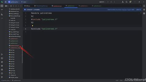 使用c语言对python进行扩展（白话就是使用python对c语言库的调用）怎么编译c语言扩展的python库 Csdn博客