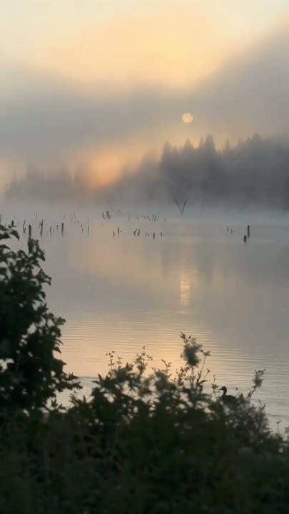 мораль благодарите бога чаще славабогузавсё Youtube