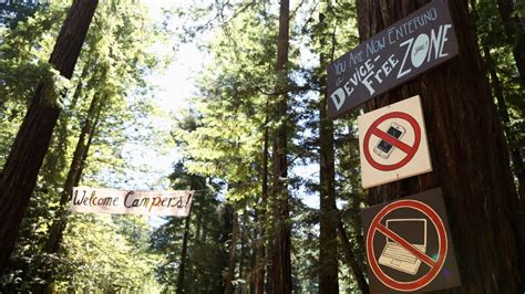 Bay Area Techies Unplug At Digital Detox Camp