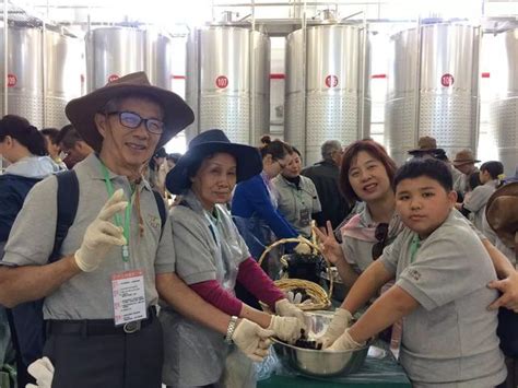 赏美景 品美酒 尝美食 东南亚旅行商“鲜美烟台”考察采线 蓬莱泰生小镇第六届葡萄酒节启动 新加坡新闻
